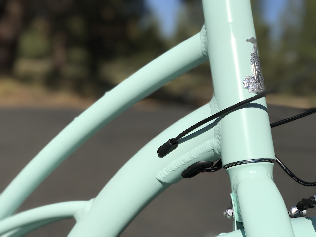 Raleigh Retroglide iE Electric Bike Review Part 1 – Pictures & Specs